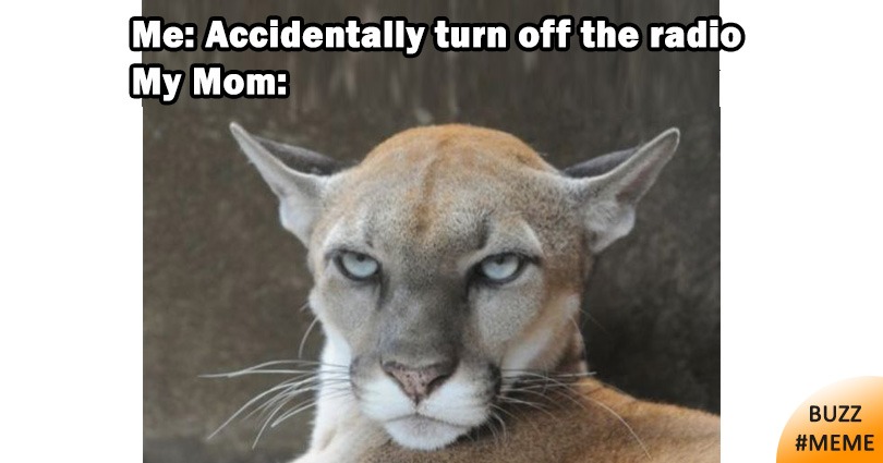Buzz 96.3 FM » Accidentally Turn Off The Radio